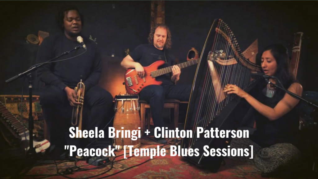 Sheela Bringi | vocalist . instrumentalist